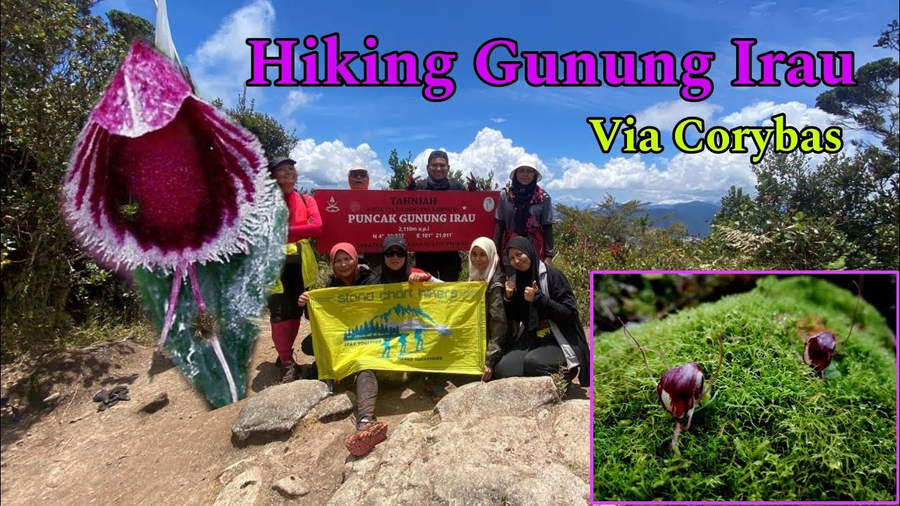 Hiking Gunung Irau Via Corybas | Dayhike | Merdeka 2023 - YouTube