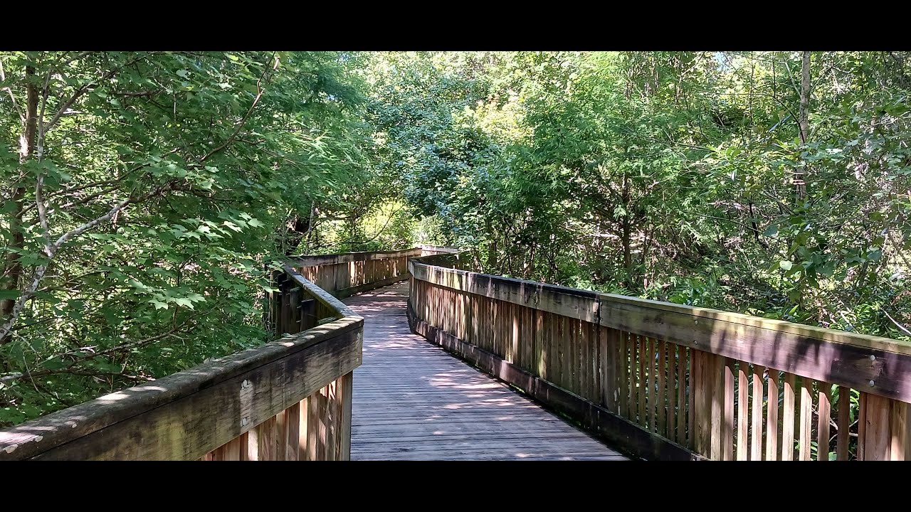 Sawgrass Lake Park in St. Petersburg, FL - YouTube