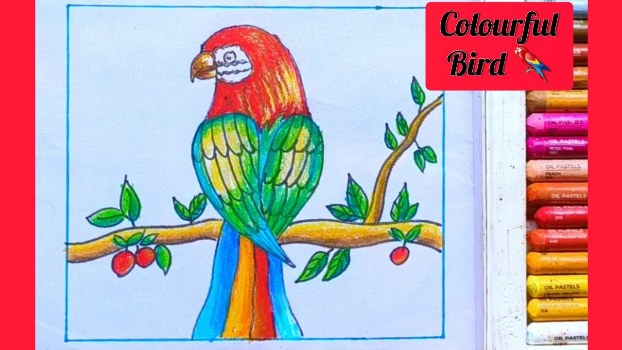Colourful Macaw Bird 🦜 Drawing with heart shape ️. very easy . # ...