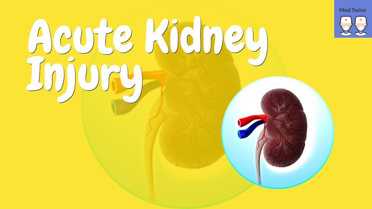 Acute Kidney Injury [Pathophysiology, Pre-renal AKI, Intrarenal AKI ...