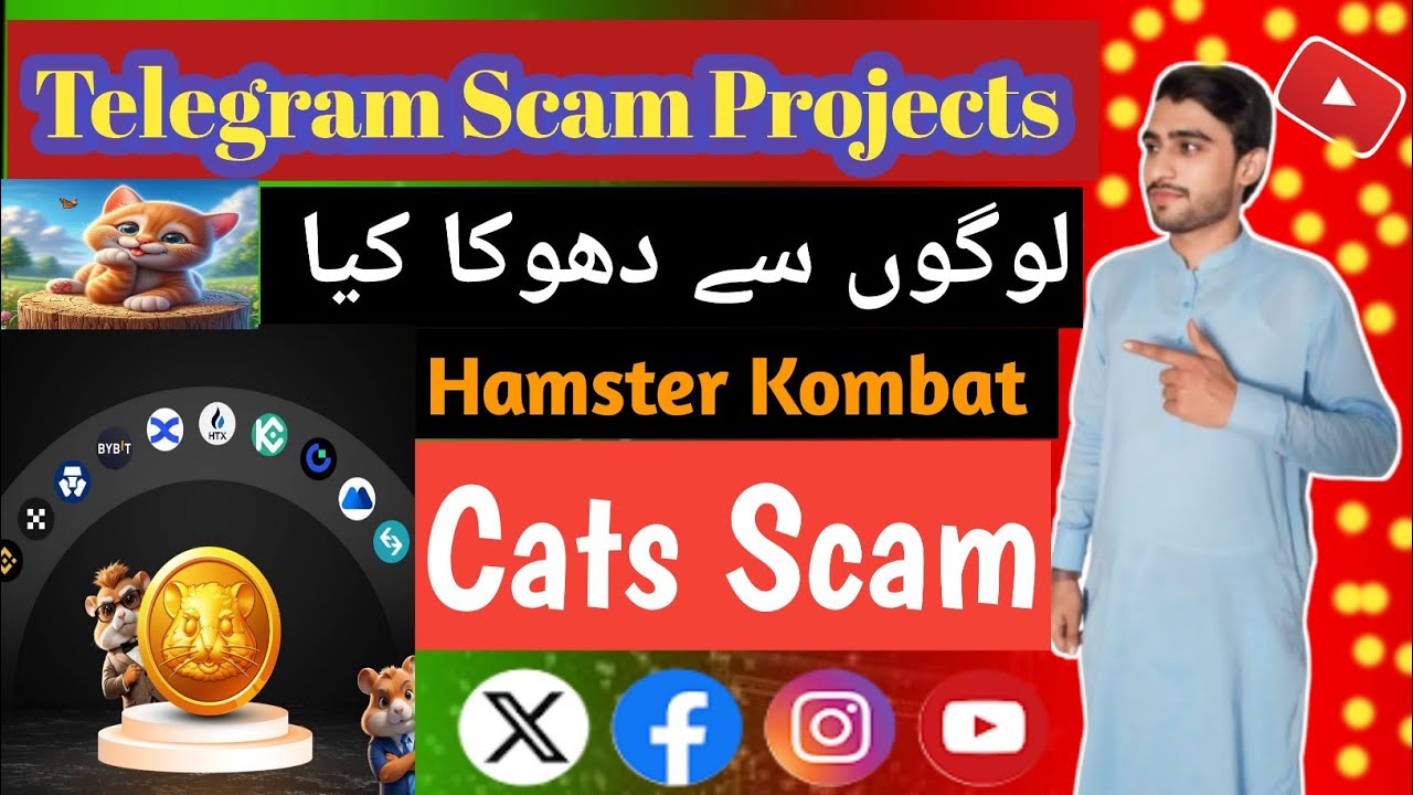 Telegram Scam Mining Apps||hamster Kombat scam||Cats Scam#cryptocurency ...