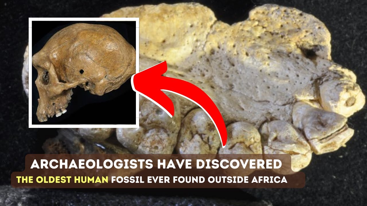 Archaeological Miracle: Oldest Human Fossil Ever Found Outside Africa ...