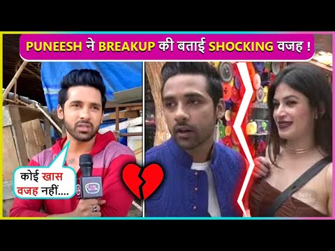 Long Distance Nahi... Puneesh Reveals Shocking Reason Behind His Breakup With Bandgee