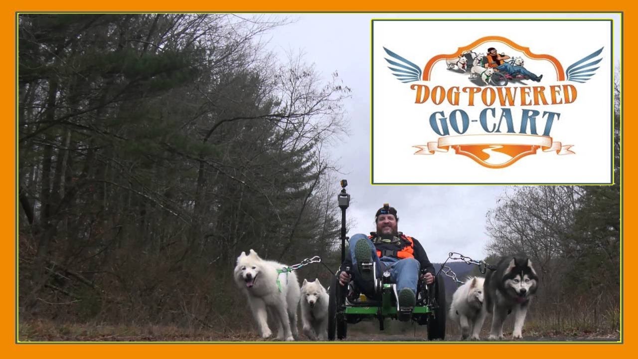 Dog Cart | Urban Mushing Ride Over on the Abandoned Turnpike - Part 9 ...