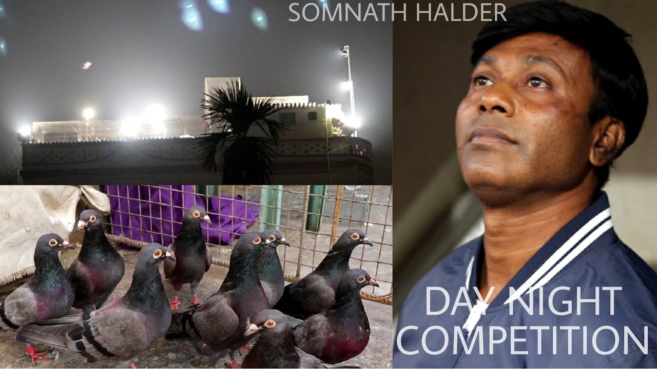 Under Six Club KOLKATA DAY-NIGHT Pigeon Flying Competition of SOMNATH HALDER ( FULL MATCH ) 2023 ...