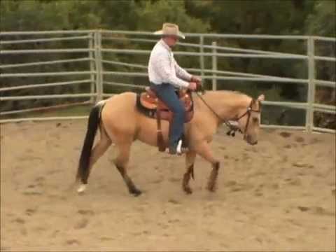 Colt Starting - The First Ride - YouTube