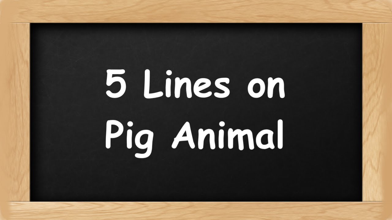 Pig Animal Short 5 Lines in English || 5 Lines Essay on Pig Animal ...