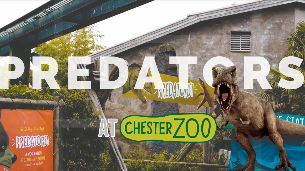 Predators at Chester Zoo Walkthrough - YouTube