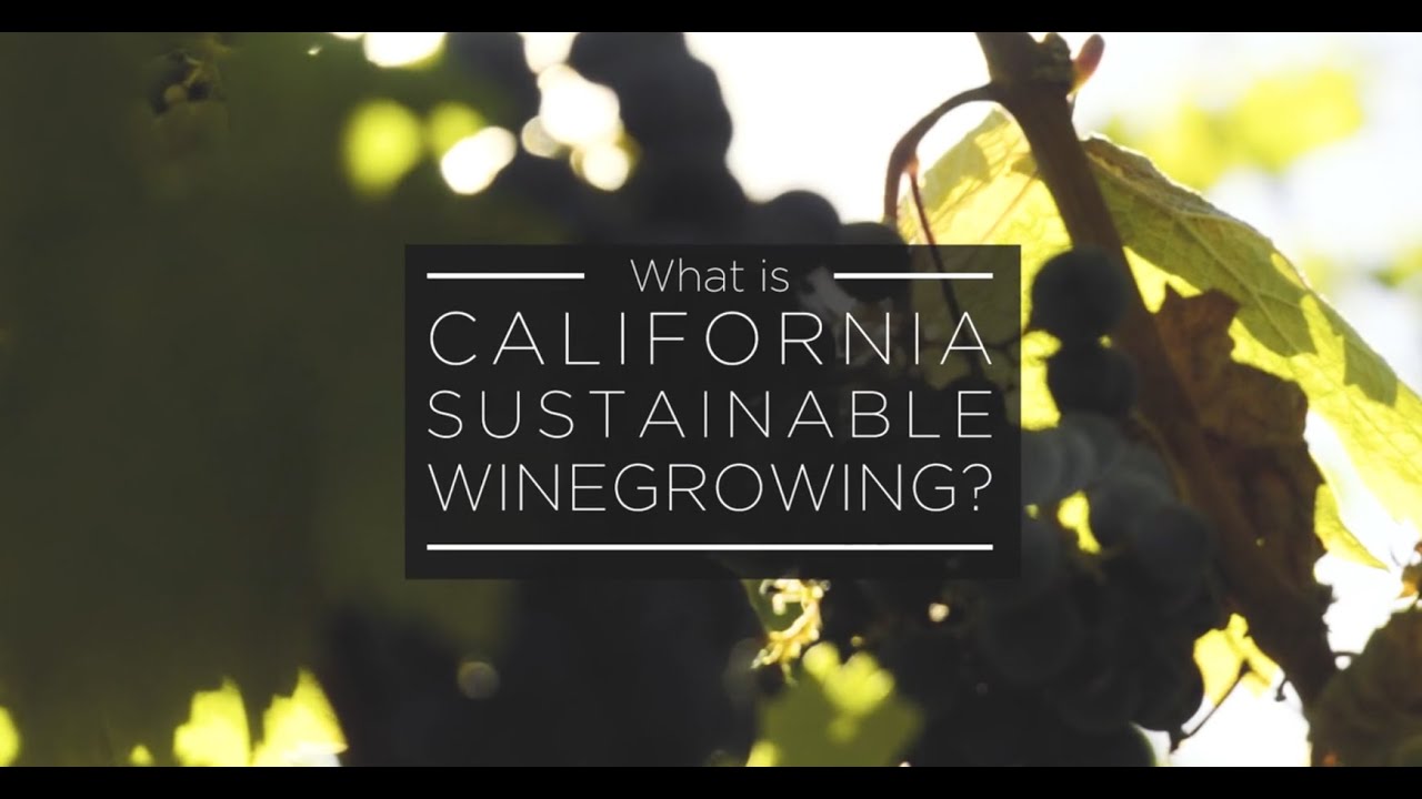 Video what is certified california sustainable winegrowing - YouTube