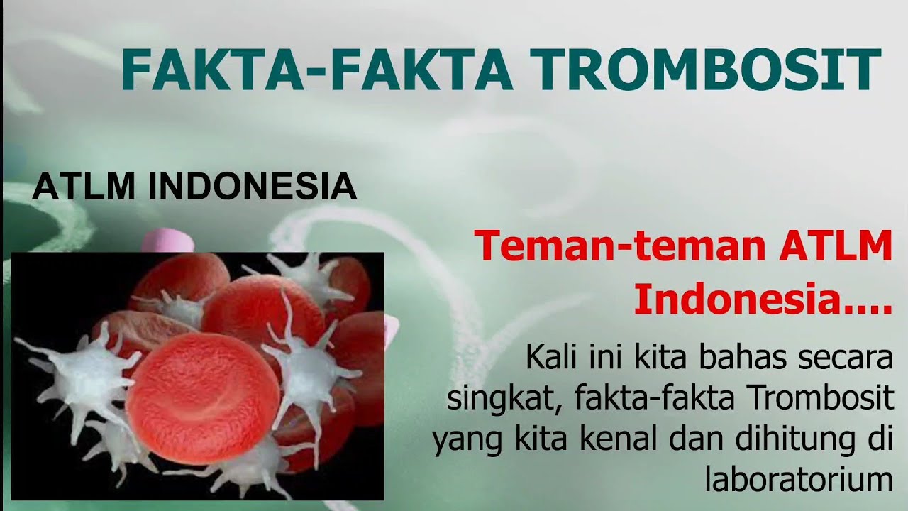 27 Fakta-Fakta Sel Trombosit Platelet di Laboratorium - YouTube