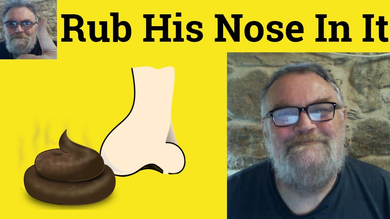 😎 Rub Someone's Nose in It Meaning - Rub My Nose in It Defined ...