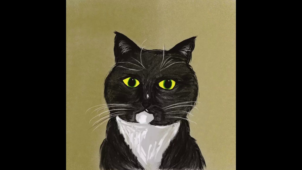 Procreate speed painting of my cat - YouTube