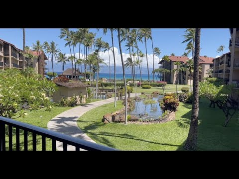 Papakea D209 Walkthrough - YouTube