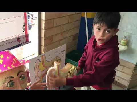 Nicolas wilches el oido - YouTube