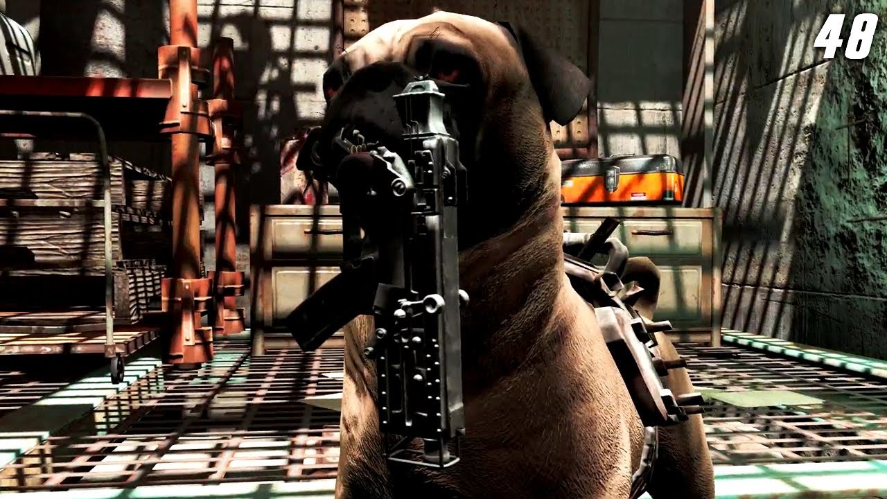 Stream - Fallout 4 Survival - 48 - Dolphin Battle! - YouTube