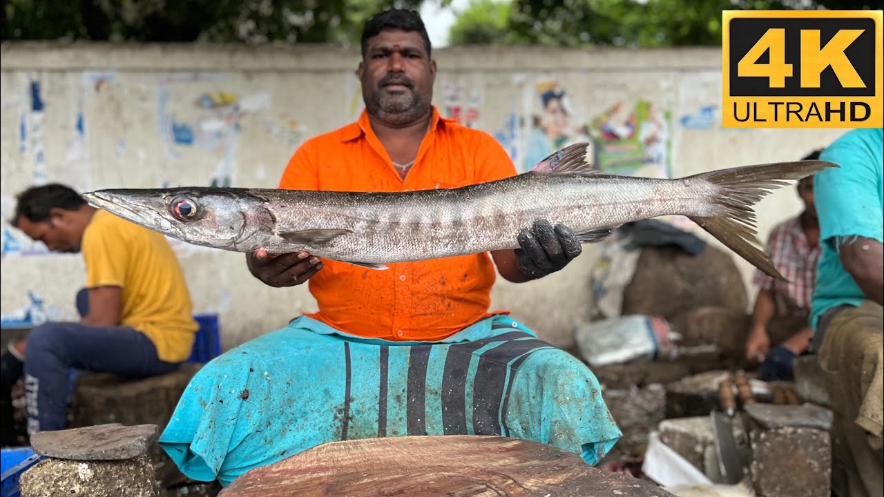 Sila fish cutting video Fishcuttingrs #fishcuttingrs #fish #kasimedu ...