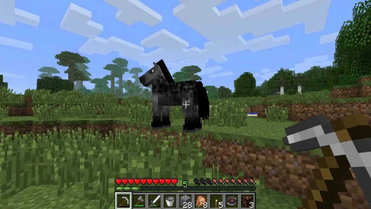 Tudo Sobre Cavalos! - Minecraft Guia (11) - YouTube