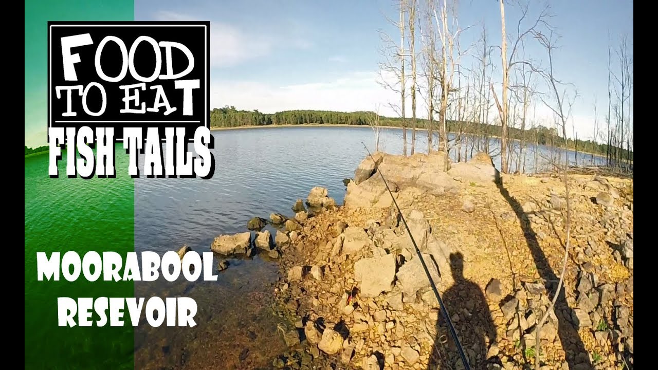 FISH TAILS - MOORABOOL RESEVOIR - YouTube