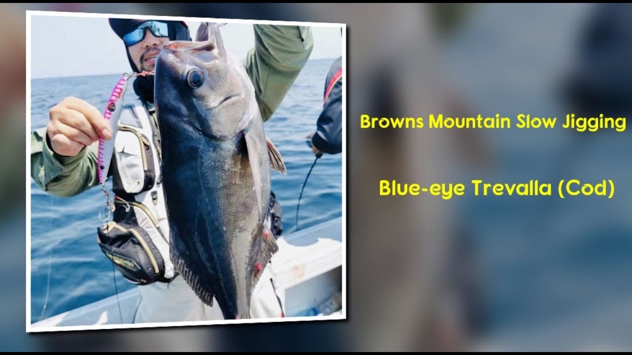 Slow Jigging Browns Mountain for Blue Eye Cod with NEW Shimano Ocea ...