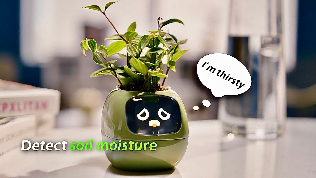 Smart Planter With Emotions Tells You What Your Plant Needs ~ PlantsIO ...