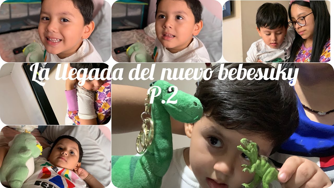 La llegada del nuevo bebesuky. P.2 - YouTube