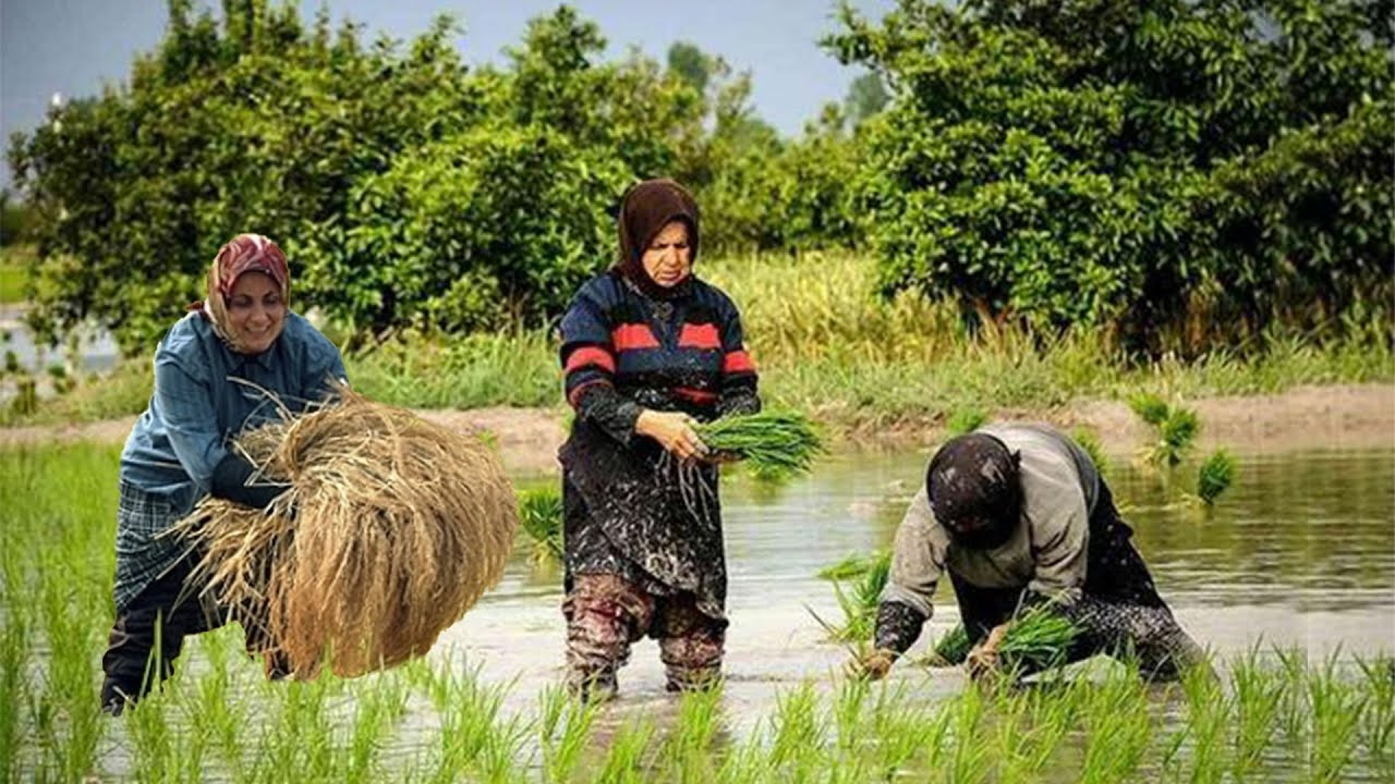 IRAN village life - iranian daily rural life - Poor rural life in iran ...