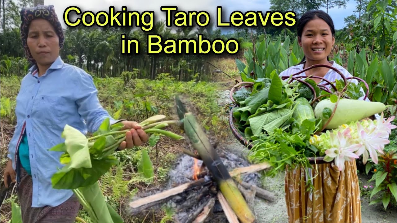 Cooking Wild Taro Leaves in Bamboo || Traditional Village Cooking ...