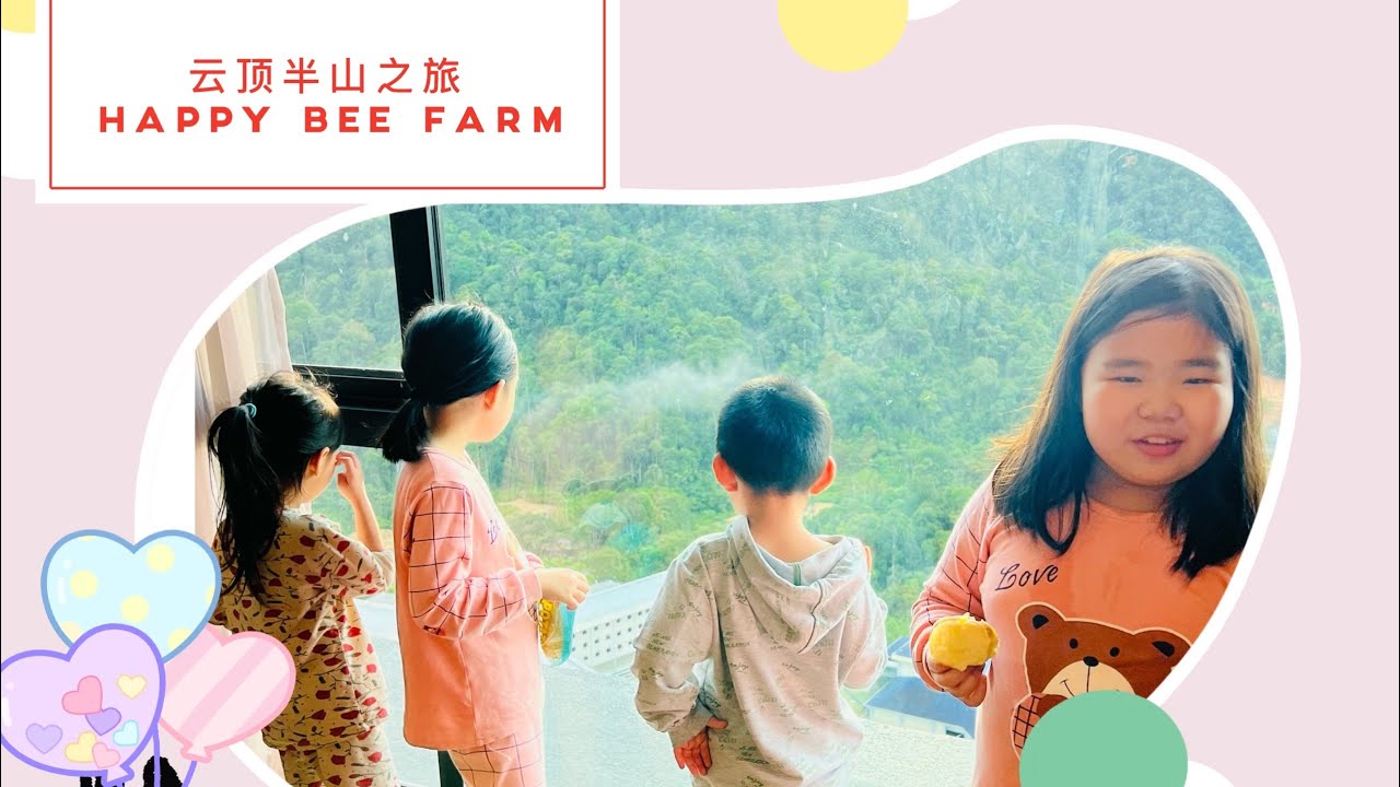 说走就走的旅行- 云顶半山- Happy Bee Farm - YouTube