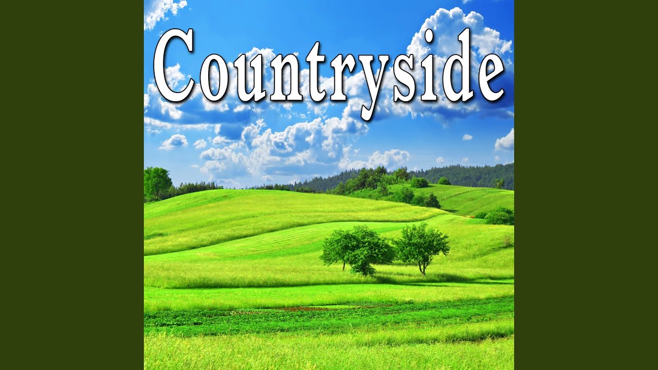 Country Afternoon Ambience with Light Birds & Filtered Traffic - YouTube