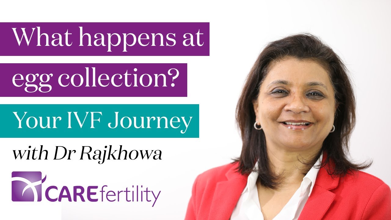 IVF: What happens at egg collection? - Your IVF Journey | CARE ...