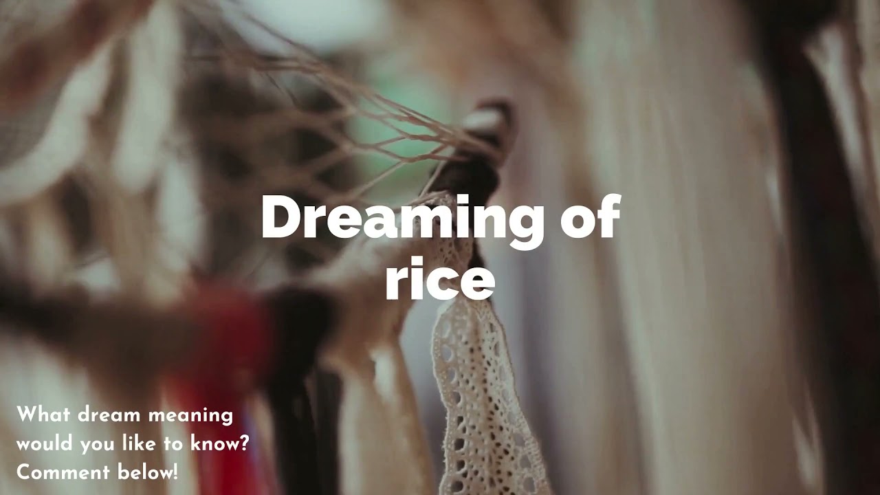 Dreaming of rice - YouTube