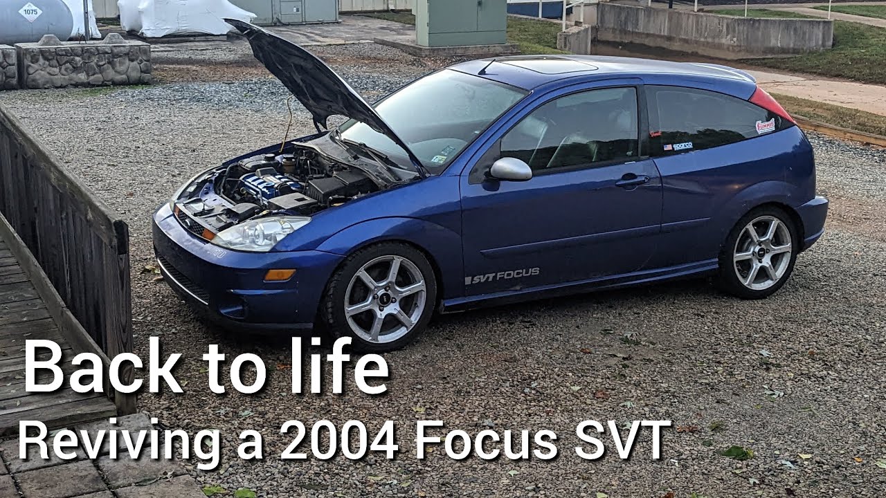 Reviving my 04 Focus SVT - YouTube