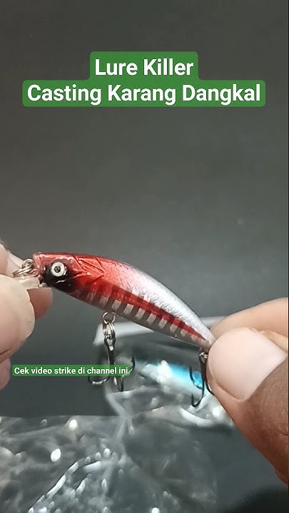 Lure Ampuh | Lure killer untuk mancing casting karang dangkal dan casting muara - YouTube