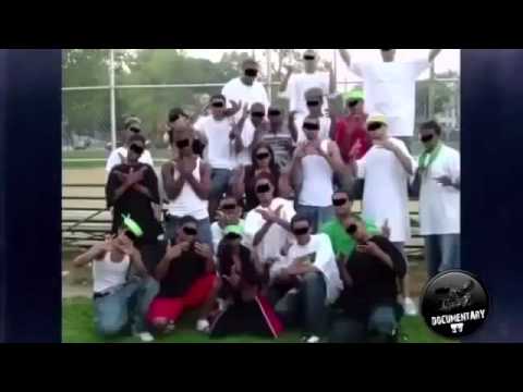 The Trinitarios The Hardest Crime Of Trinitarios in New York - YouTube
