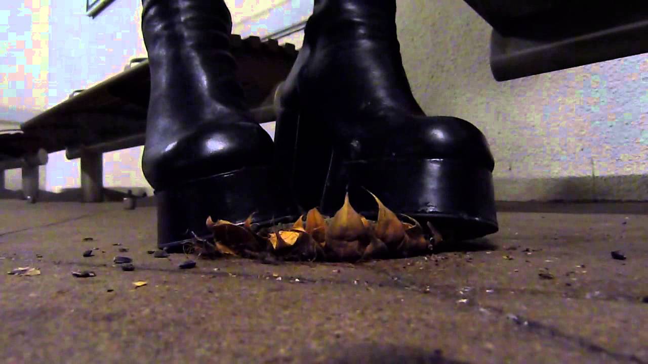 Buffalo T-24400 Sunflower Crush - YouTube