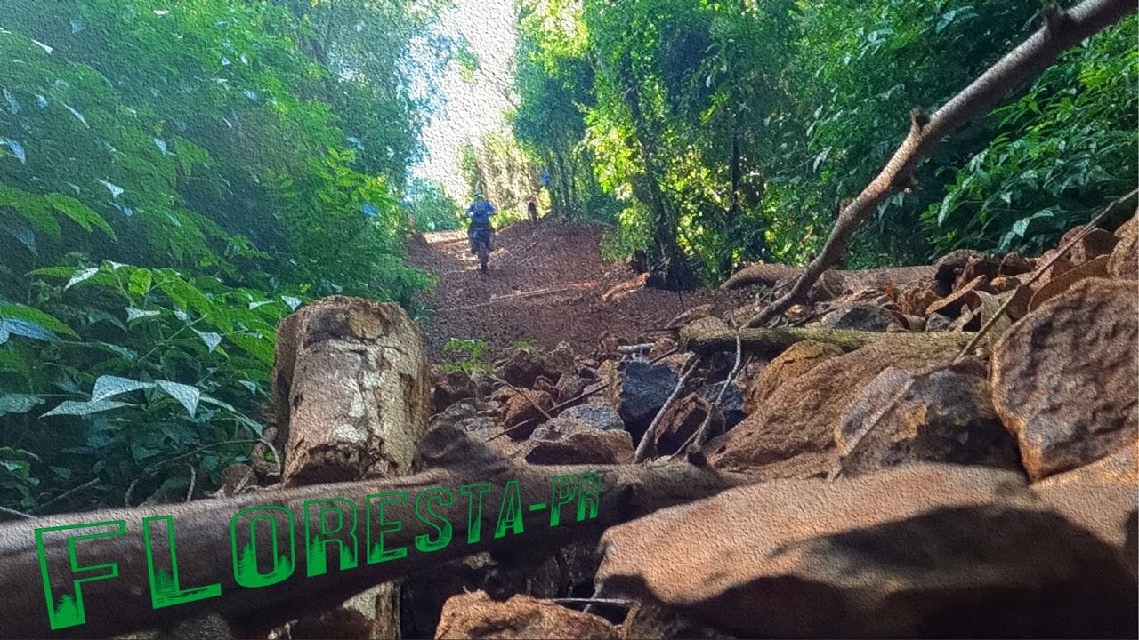 Floresta-PR Parte 1 - YouTube
