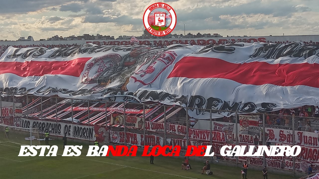 🐓 Esta es La Banda loca del Gallinero | SIN LETRA | Canciones De Morón ...