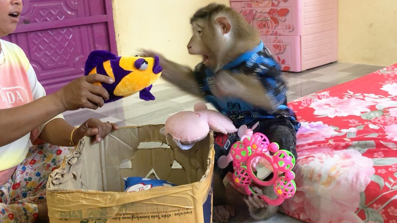Little Boy Jason Sensitively Offended To Look At Any Toys That Has Eyes ...