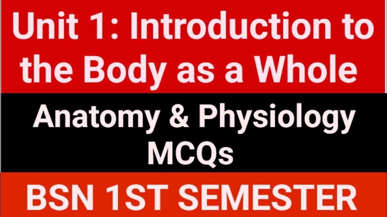 Anatomy & Physiology MCQs | Unit 1: Introduction to the Body | BSN 1st Semester - YouTube