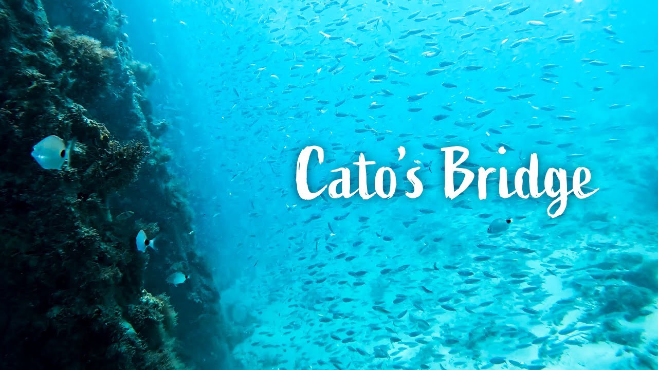 Snorkeling at Cato's Bridge - YouTube