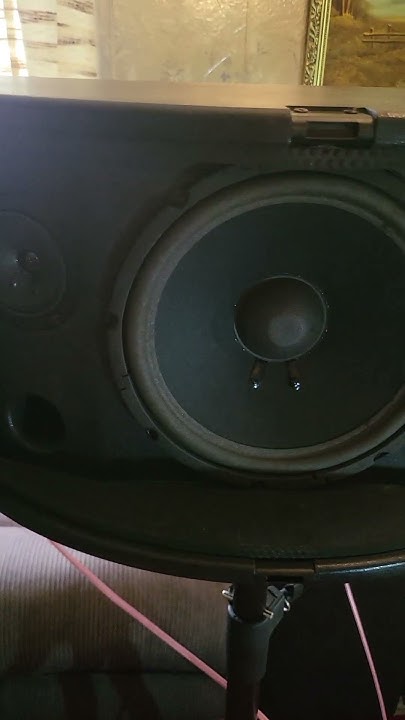 Z5000 Z9000 S.3 Stereo 10 inch Speaker PA - YouTube
