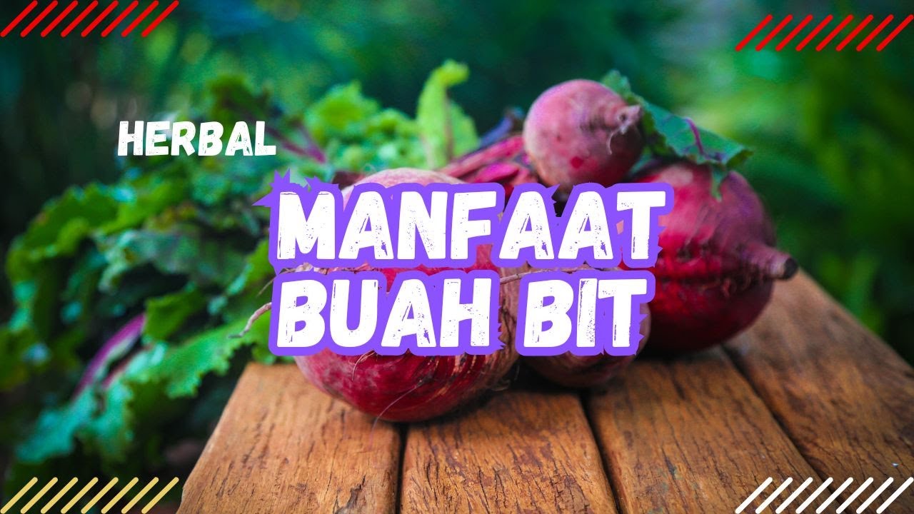 Manfaat Buah Bit Untuk Kesehatan - YouTube