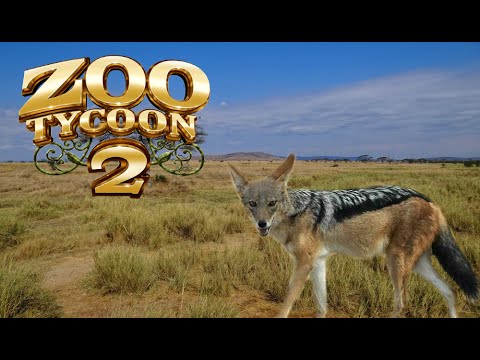 Zoo Tycoon 2: Black-backed Jackal Exhibit Speed Build - YouTube