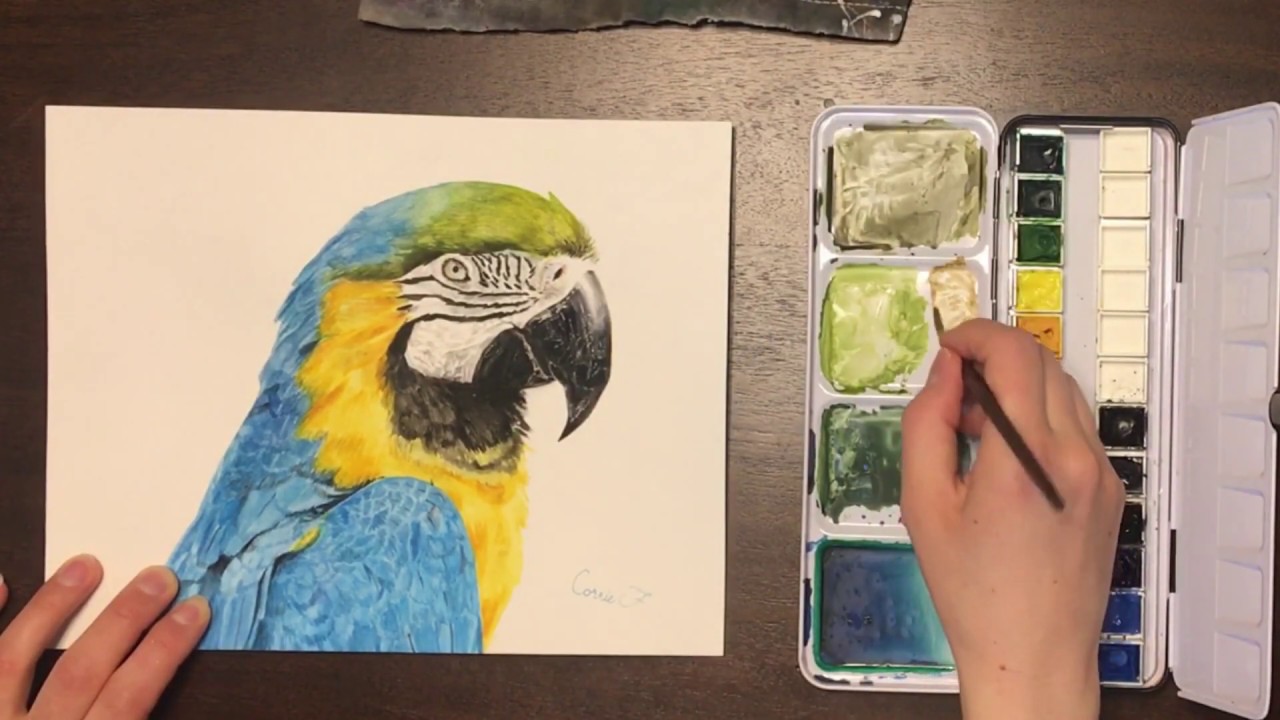 Watercolor Tutorial: Blue Macaw - YouTube