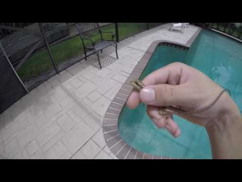 Jesus Christ Lizard Runs on Water