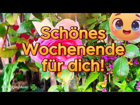 Guten Morgen & schönes Spätsommer-Wochenende! 🌸☀️ Liebe Grüße aus dem Garten (Video für WhatsApp)