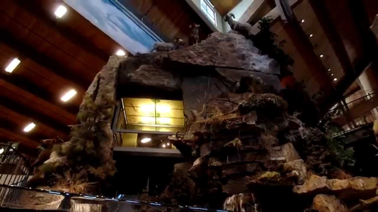 BASS PRO SHOPS | fernanar1 | Denver, CO - YouTube