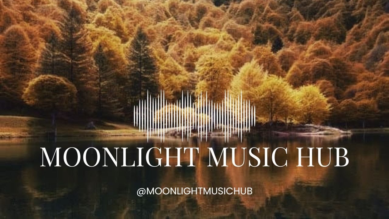 MOONLIGHT MUSIC HUB || #MOONLIGHTMUSICHUB ||%#MOONLIGHTMUSICHUB || #MOONLIGHT MUSIC HUB - YouTube