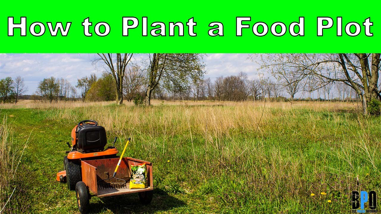 How to Plant a Food Plot - Small Land Deer Management - YouTube