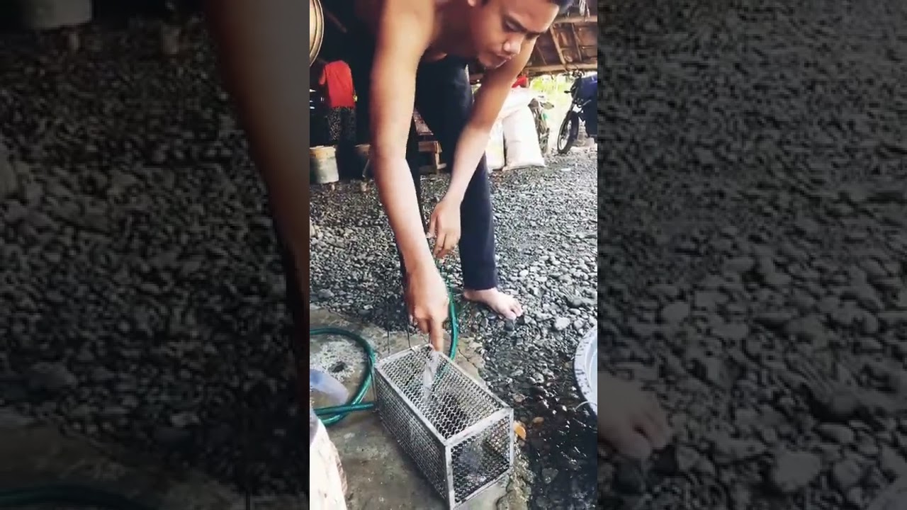 naka huli ako ng daga . pangalan niya ay si dodong . - YouTube